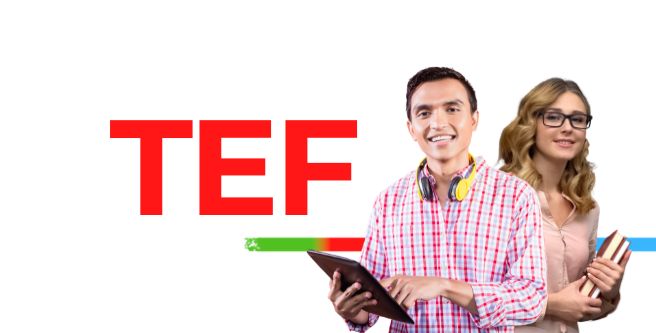 TEF: Determining English Language Proficiency